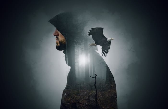 Eagle Meaning and Symbolism and the Eagle Spirit Animal