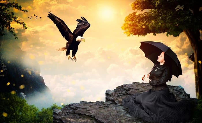 Eagle Meaning and Symbolism and the Eagle Spirit Animal