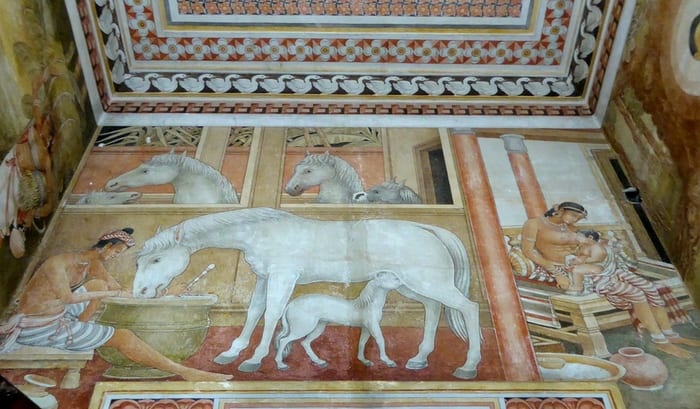 Horse Symbolism & Meaning & the Horse Spirit Animal | UniGuide