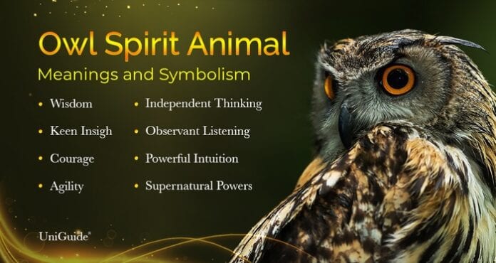 Owl Symbolism & Meaning & the Owl Spirit Animal | UniGuide