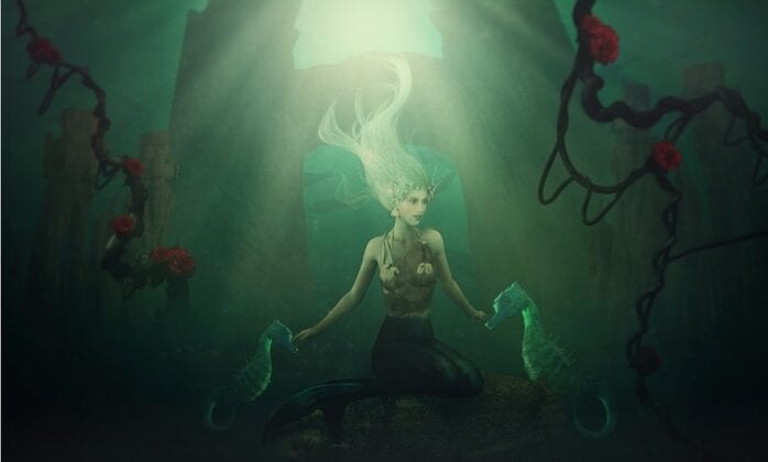 Seahorse Meaning & Symbolism & the Seahorse Spirit Animal