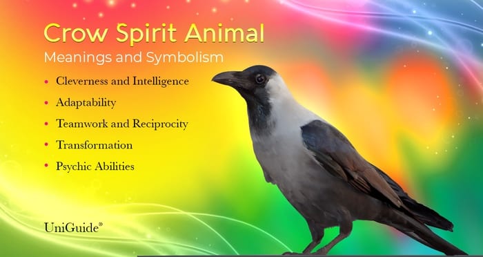 Crow Indian Tribe Symbols