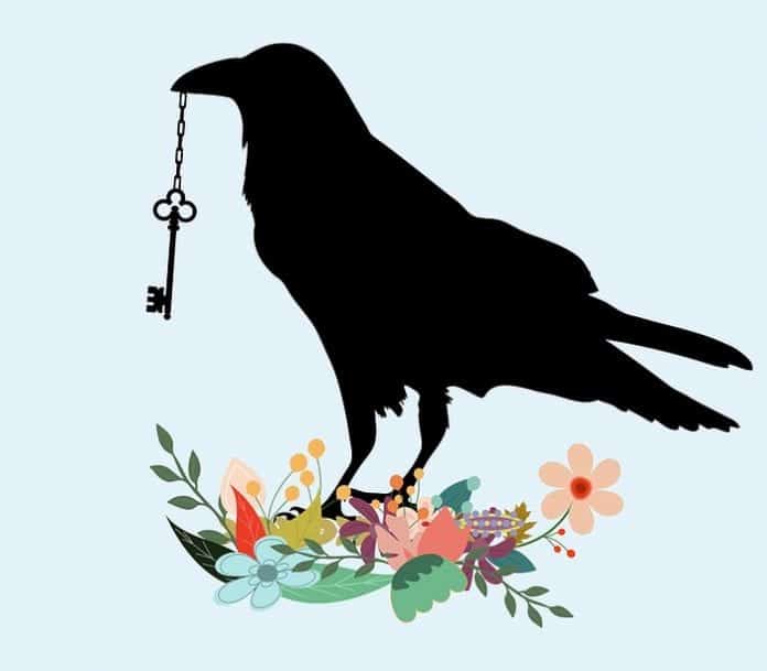 Raven Symbolism & Meaning & the Raven Spirit Animal | UniGuide