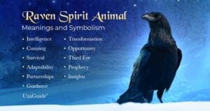 Raven Symbolism & Meaning & the Raven Spirit Animal | UniGuide