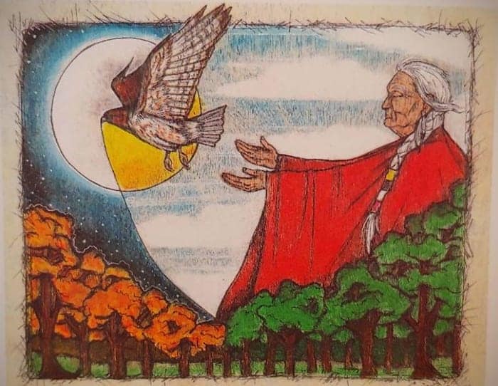 Hawk Symbolism & Meaning & the Hawk Spirit Animal | UniGuide