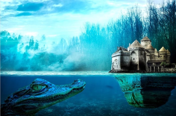 Alligator Symbolism & Meaning & the Alligator Spirit Animal