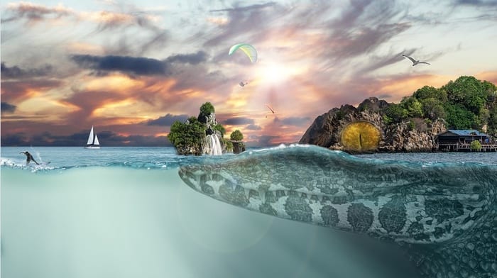 Alligator Symbolism & Meaning & the Alligator Spirit Animal