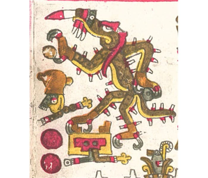 Alligator Symbolism & Meaning & the Alligator Spirit Animal