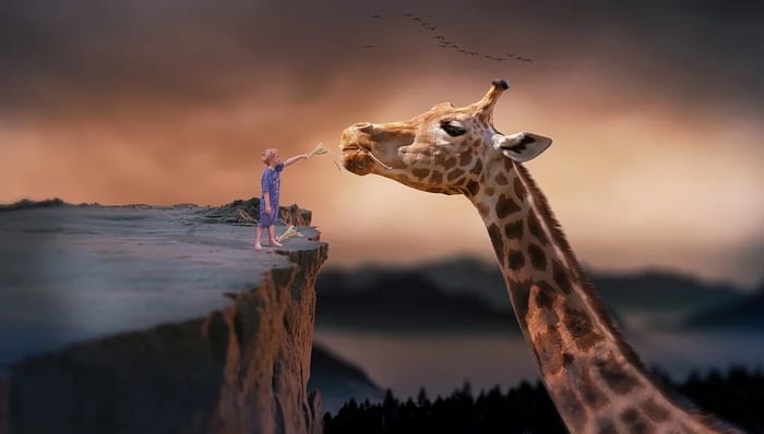 Giraffe Symbolism & Meaning & the Giraffe Spirit Animal | UniGuide