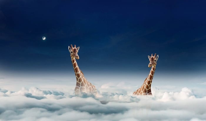 Giraffe Symbolism & Meaning & the Giraffe Spirit Animal | UniGuide