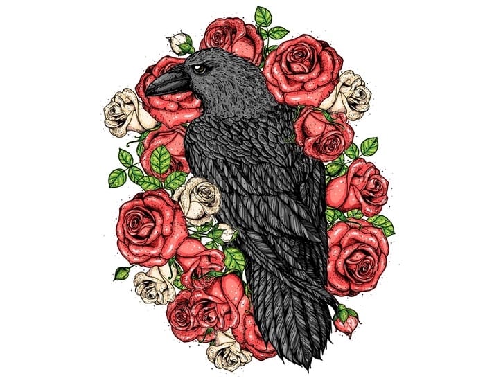 Raven Symbolism & Meaning & the Raven Spirit Animal | UniGuide