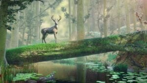 Stag Symbolism & Meaning & the Stag Spirit Animal | UniGuide