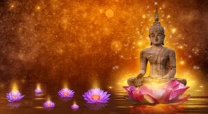 Lotus Flower Meanings & Symbolism + Planting, Care & Uses