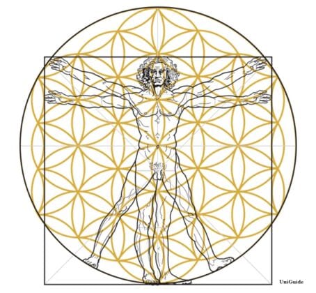Flower of Life Meaning and Symbolism Explained | UniGuide