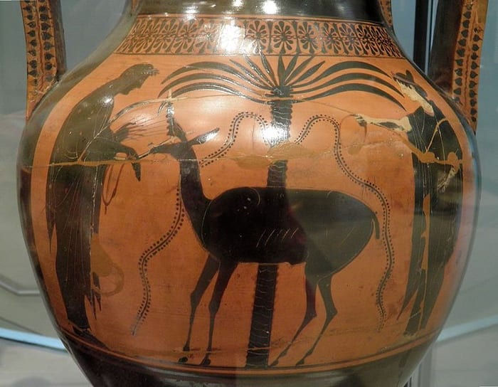 Deer Symbolism & Meaning & the Deer Spirit Animal | UniGuide