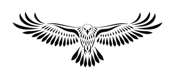 Native American Spirit Animals Hawk