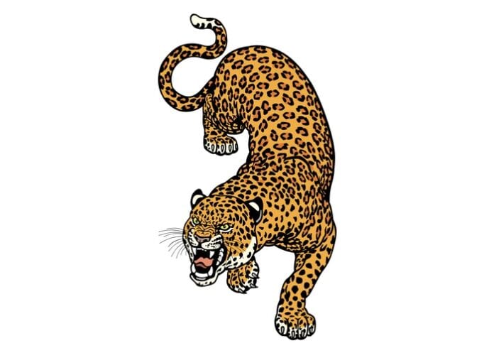 Leopard Symbolism & Meaning & the Leopard Spirit Animal