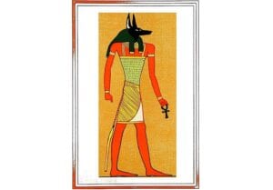 Leopard Symbolism & Meaning & the Leopard Spirit Animal