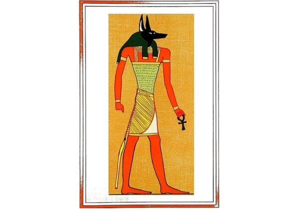 Leopard Symbolism & Meaning & the Leopard Spirit Animal