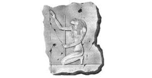 Frog Symbolism & Meaning & the Frog Spirit Animal | UniGuide