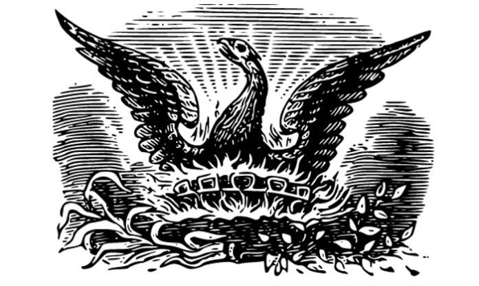 Phoenix Bird Mythology, Origins, Meaning & Symbolism | UniGuide