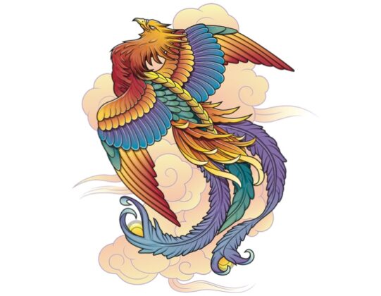 Phoenix Bird Mythology, Origins, Meaning & Symbolism | UniGuide