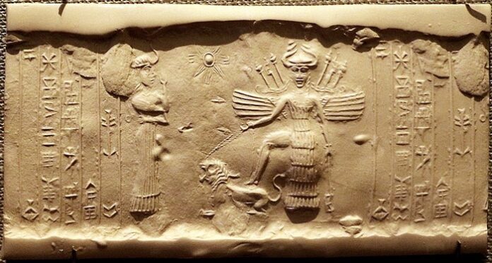 Dove Symbolism & Meaning & the Dove Spirit Animal