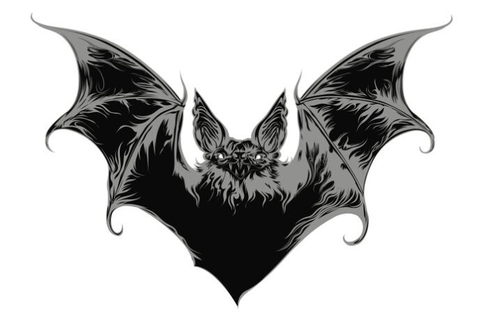 Bat Symbolism and Meaning and the Bat Spirit Animal | UniGuide