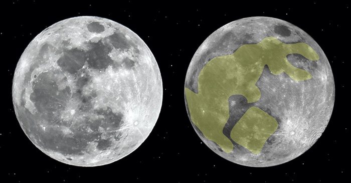 Rabbit Symbolism & Meaning & the Rabbit Spirit Animal | UniGuide