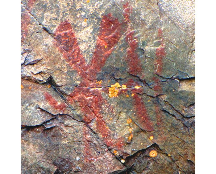 Rabbit Symbolism & Meaning & the Rabbit Spirit Animal | UniGuide