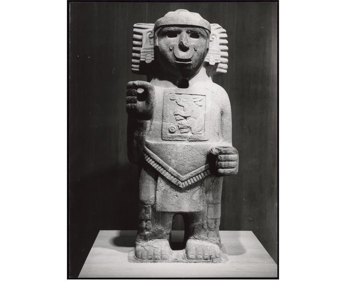 Rabbit Symbolism & Meaning & the Rabbit Spirit Animal | UniGuide