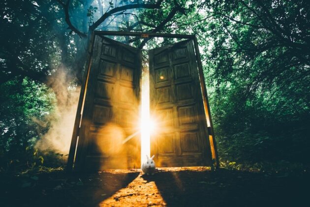 Rabbit Symbolism & Meaning & the Rabbit Spirit Animal | UniGuide