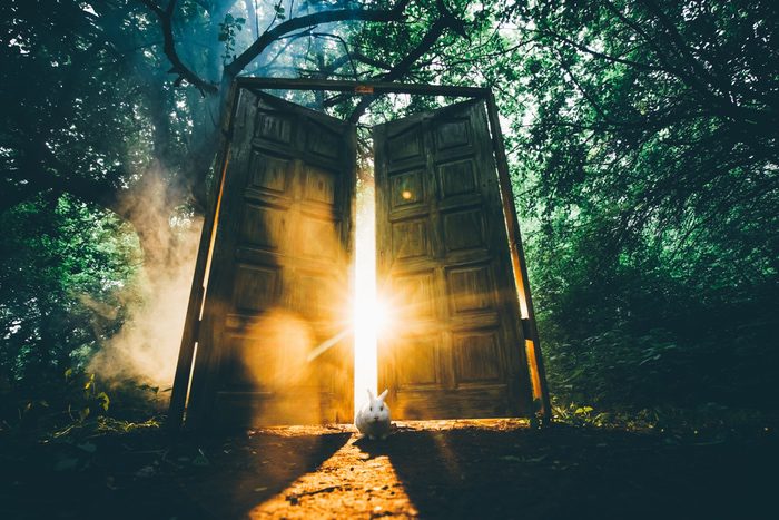 Rabbit Symbolism & Meaning & the Rabbit Spirit Animal | UniGuide