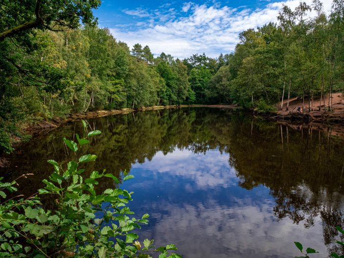 12 Enchanted Forests in Mythology and Folklore | UniGuide