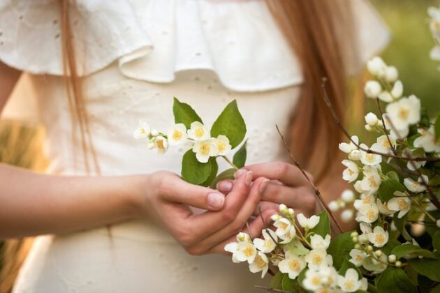 Jasmine Flower Meanings, Folklore & Uses | UniGuide