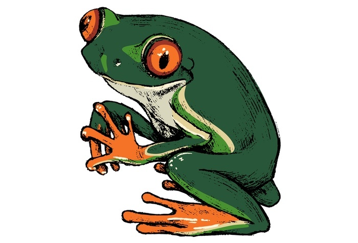 Frog Symbolism & Meaning & the Frog Spirit Animal | UniGuide