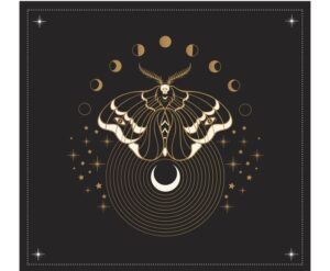 Moth Symbolism & Meaning & the Moth Spirit Animal | UniGuide