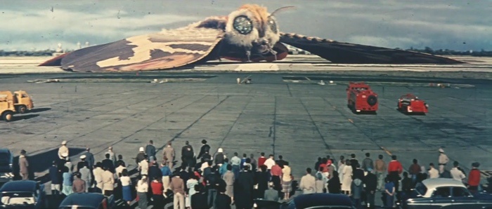 Moth Symbolism & Meaning & the Moth Spirit Animal | UniGuide