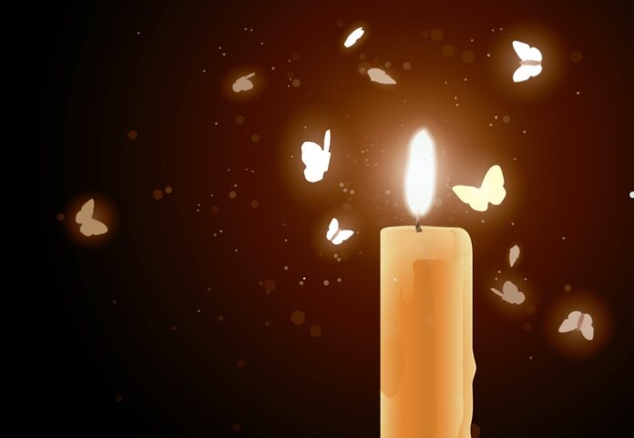 Moth Symbolism & Meaning & the Moth Spirit Animal | UniGuide