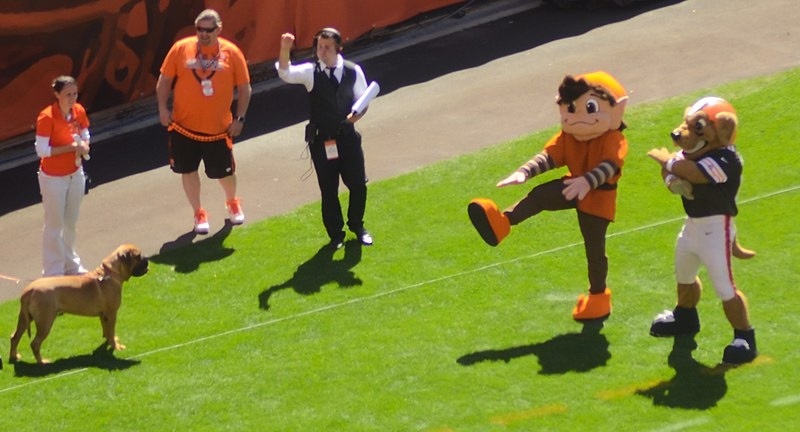 Swagger Browns Mascot Owners