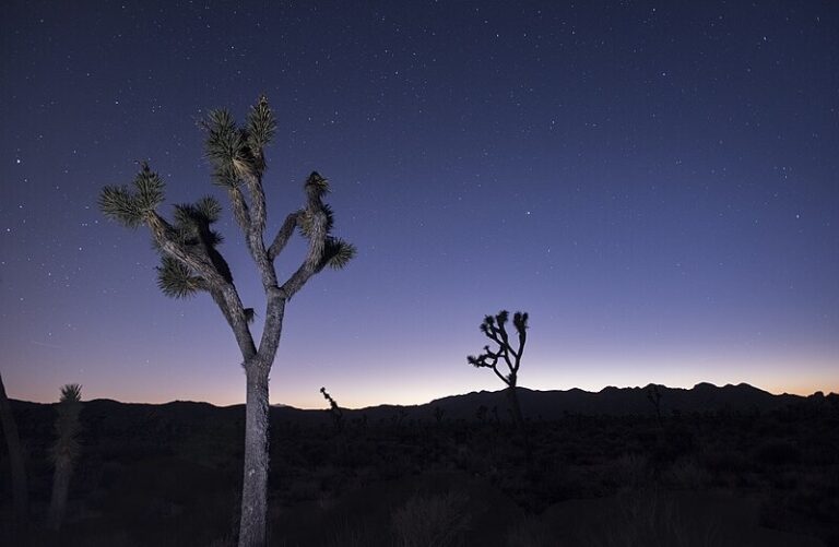 12 Dusk Symbolism and Meaning Examples | UniGuide