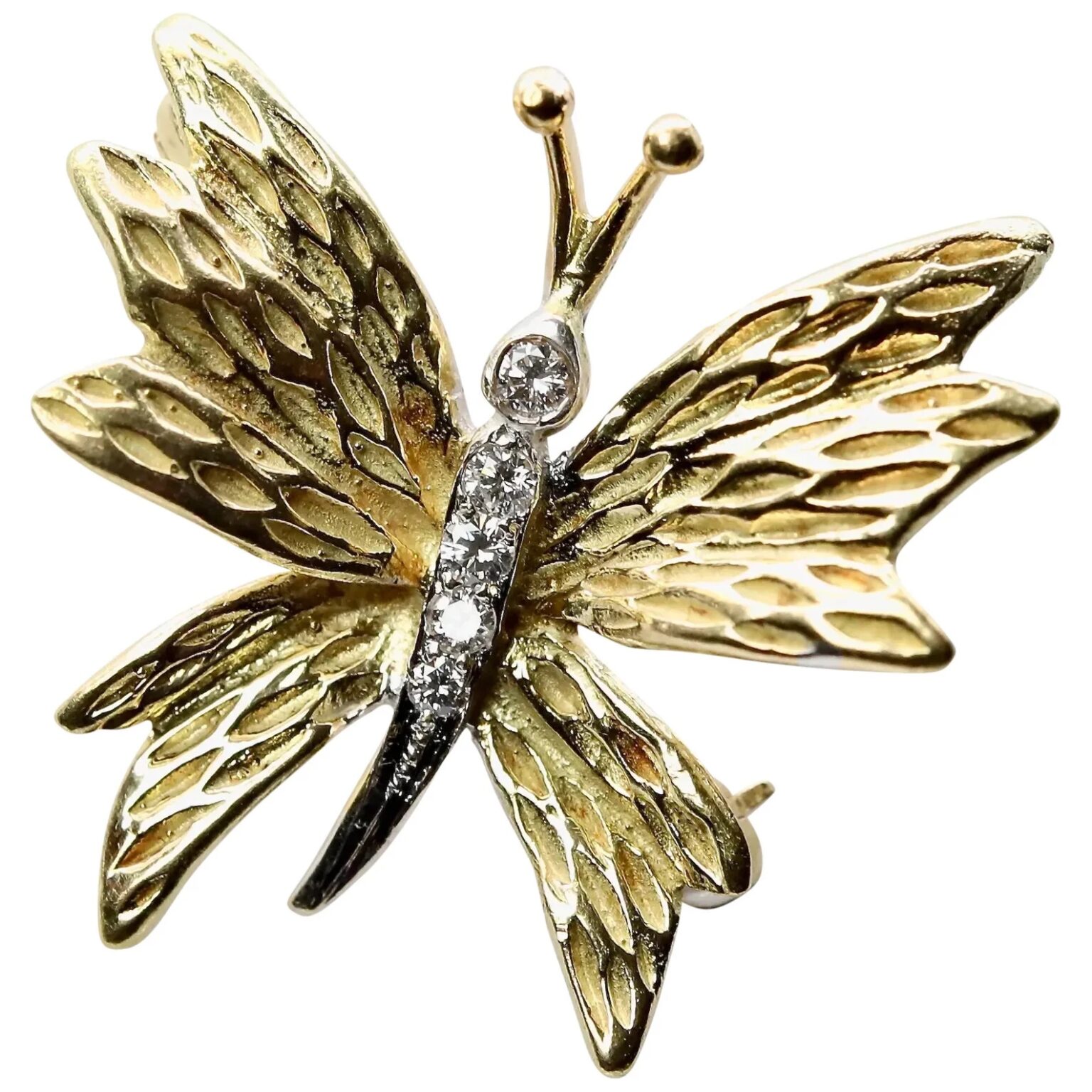 14 Red Butterfly Meanings: What Do They Symbolize? - UniGuide®