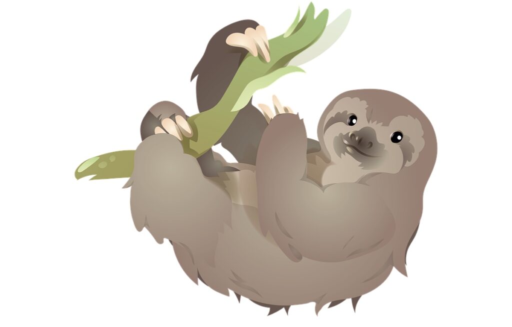 Sloth Meaning and Symbolism and the Sloth Spirit Animal